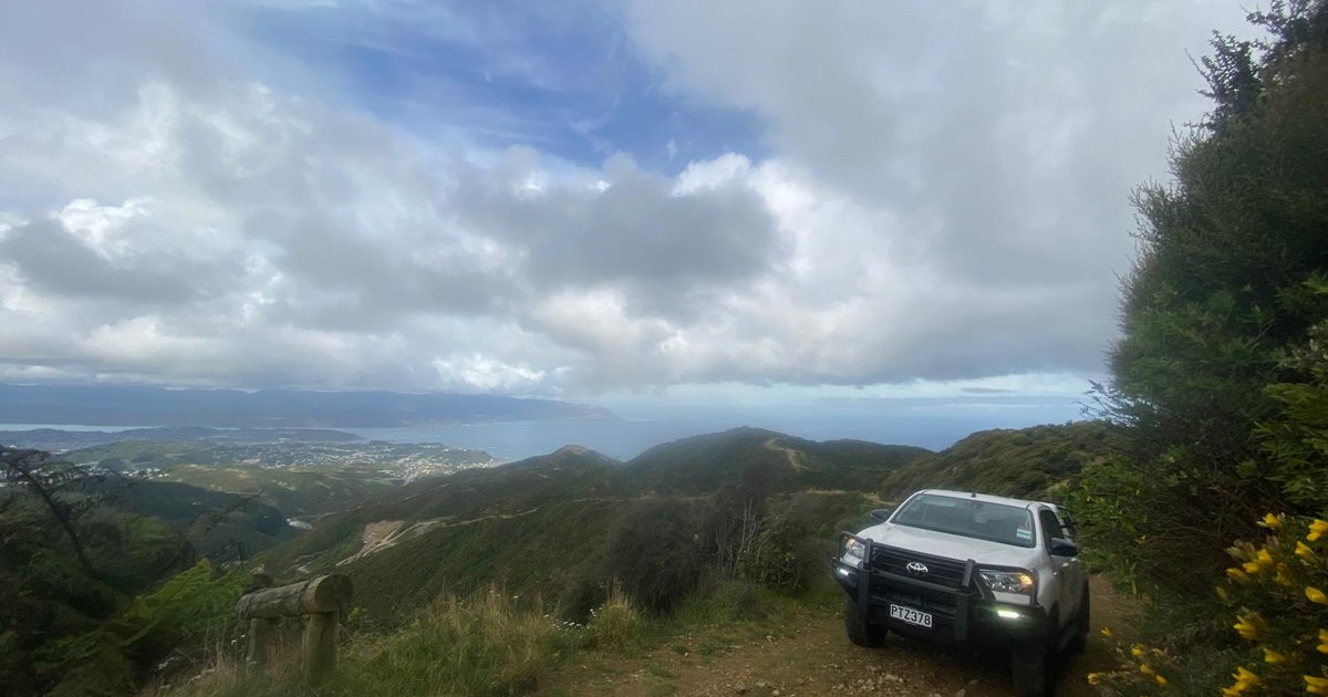 Predator Free Wellington helping clear predators from the Zealandia ...