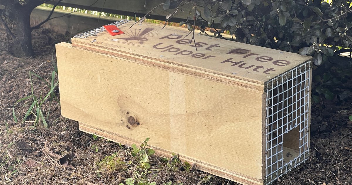 Backyard Trapping Made Simple