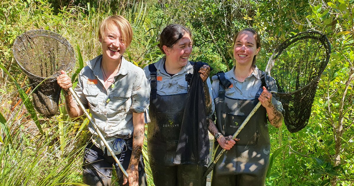 Restoring Roto Kawau: Zealandia’s Exotic Fish Eradication Success