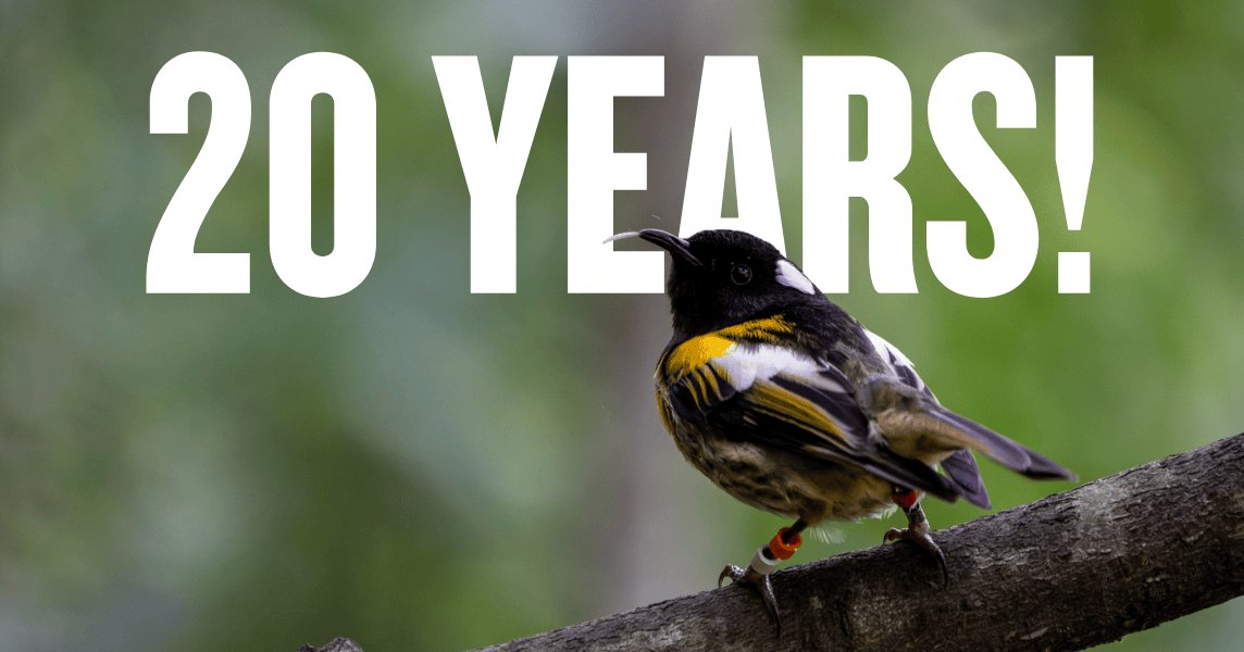 20 years of hihi at Zealandia