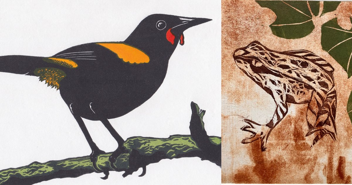 Art Exhibition: Te Ngākau o te Ngahere
